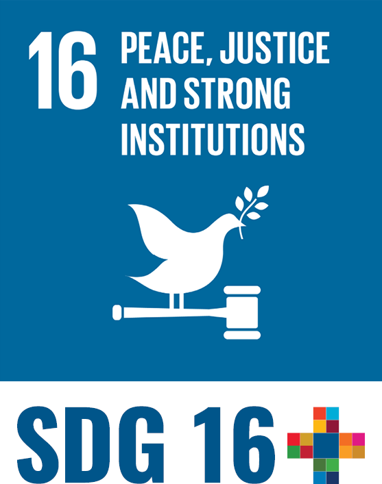 Introduction & Background - SDG16+ Civil Society Toolkit